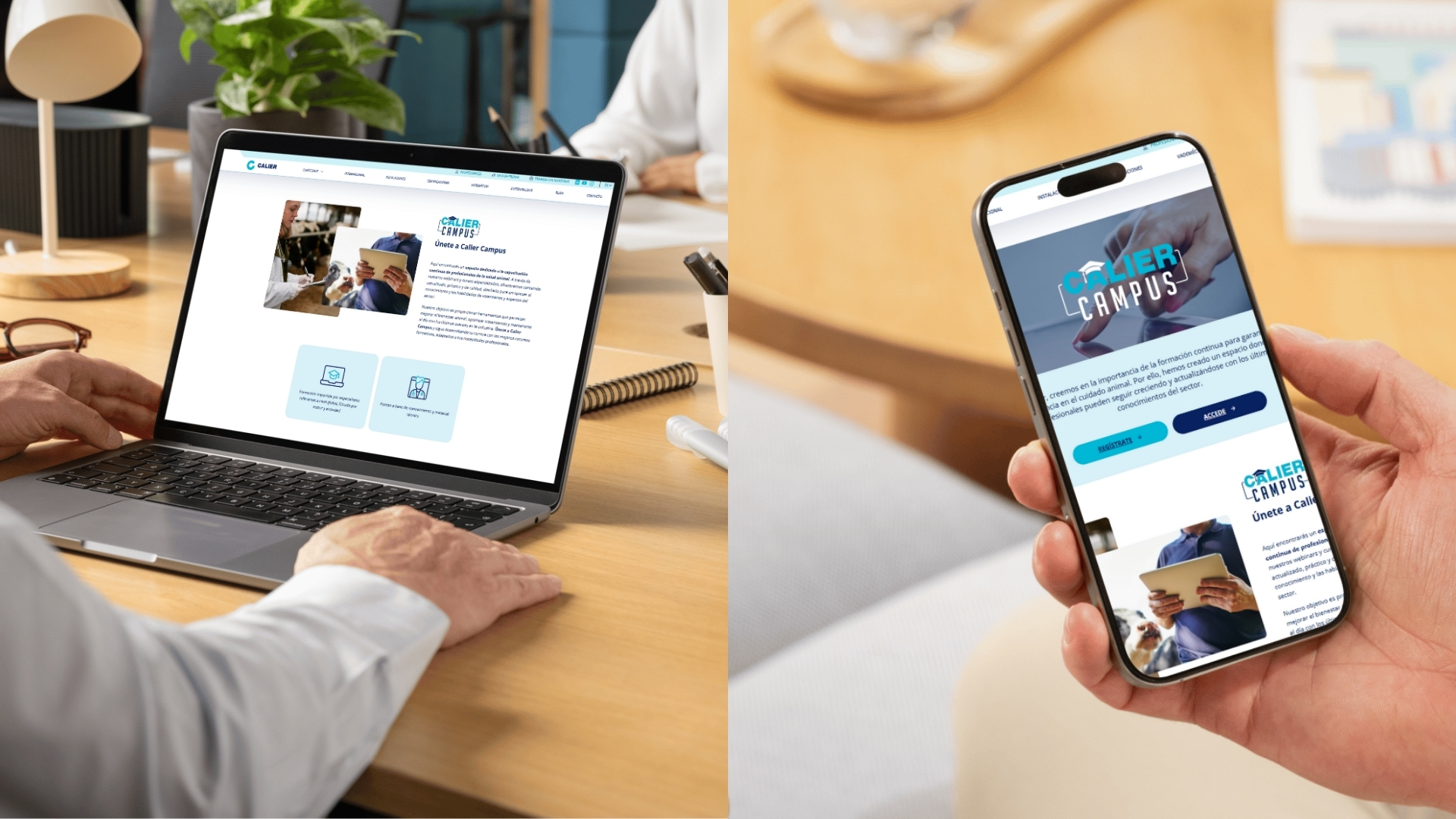 Calier lanza 'Calier Campus', su nueva plataforma de formación para ...
