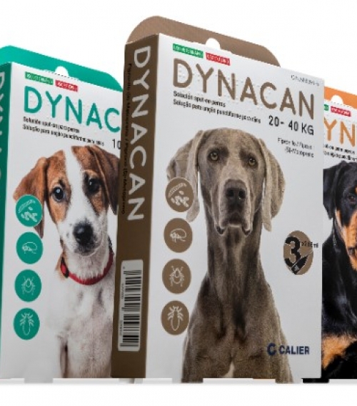 Home | Grupo Indukern